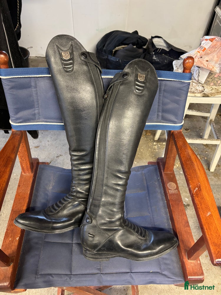 Tucci harley till salu i Enköping | Hästnet