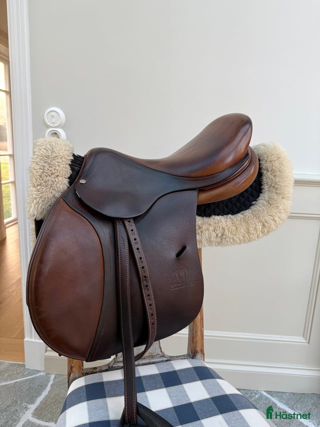 Antares Altair till salu i Drottningholm | Hästnet