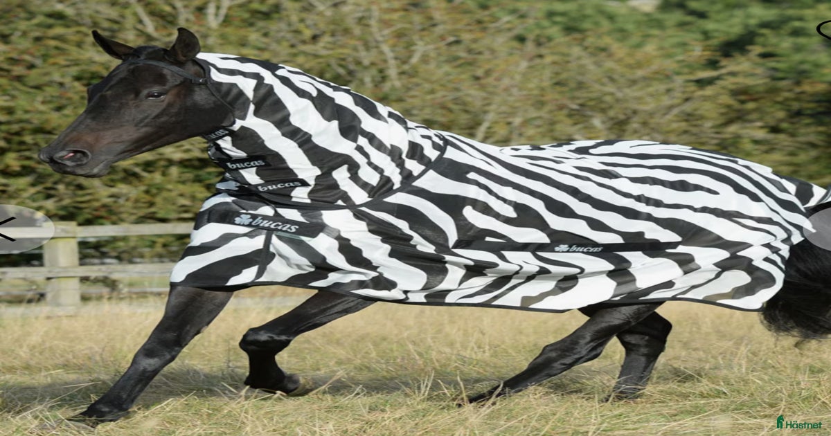 Flugtäcke BUZZ-OFF ZEBRA till salu i | Hästnet