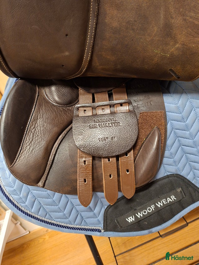 Knights Sir Walter till salu i Hamneda | Hästnet