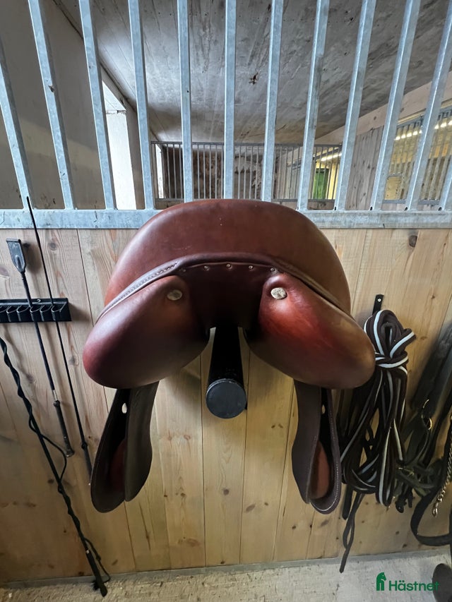 Antares Altair till salu i Visby | Hästnet