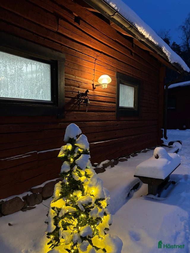 Ledig stallplats på Kungsgården Sköldnora finnes i Upplands Väsby | Hästnet