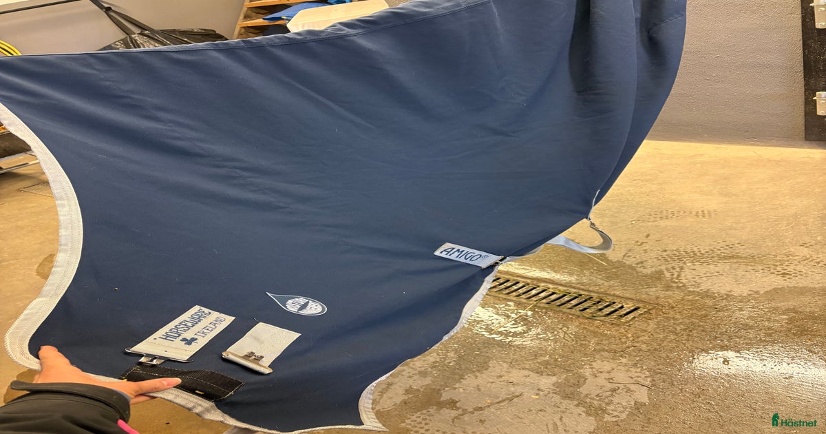 Amigo Stable Sheet 0G från Horseware stl 145 till salu i Tierp | Hästnet