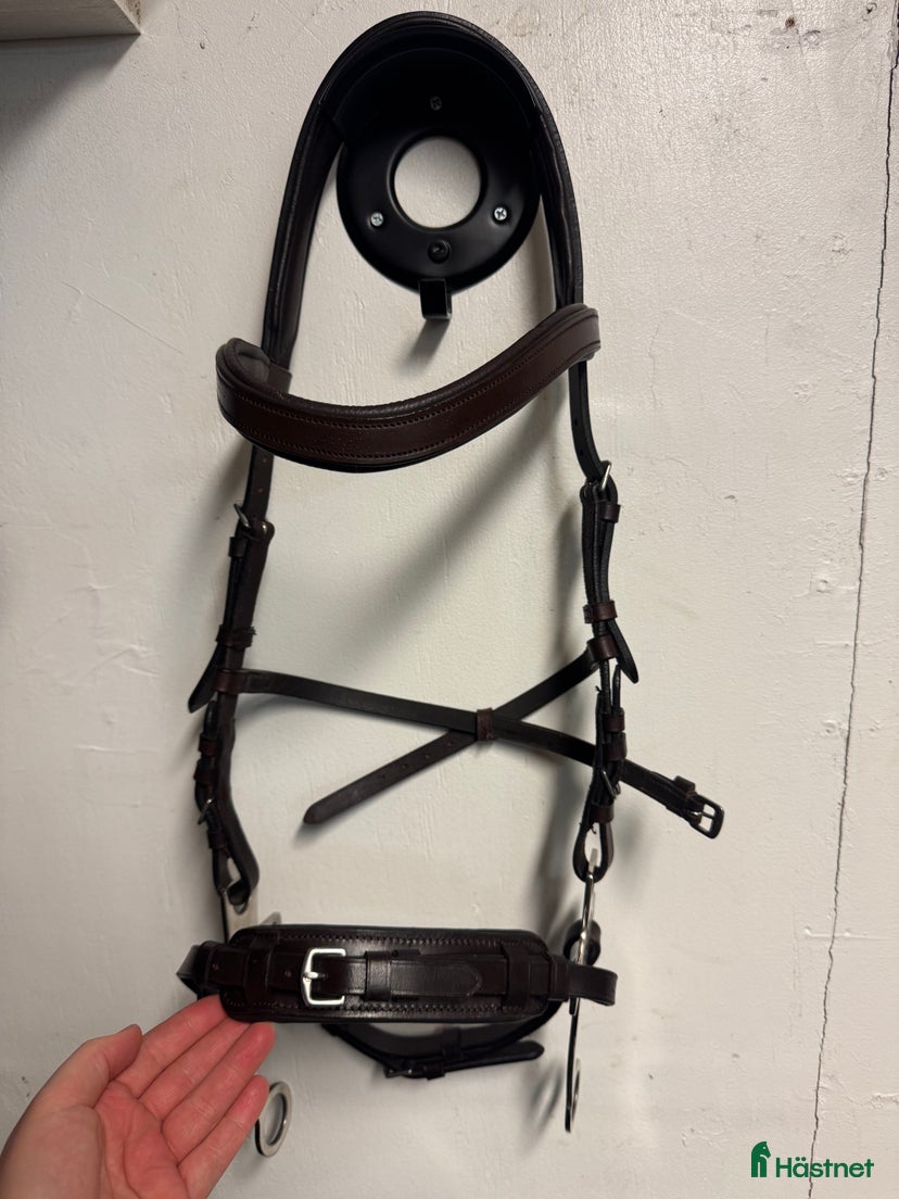 Hackamore till salu i Kristinehamn | Hästnet