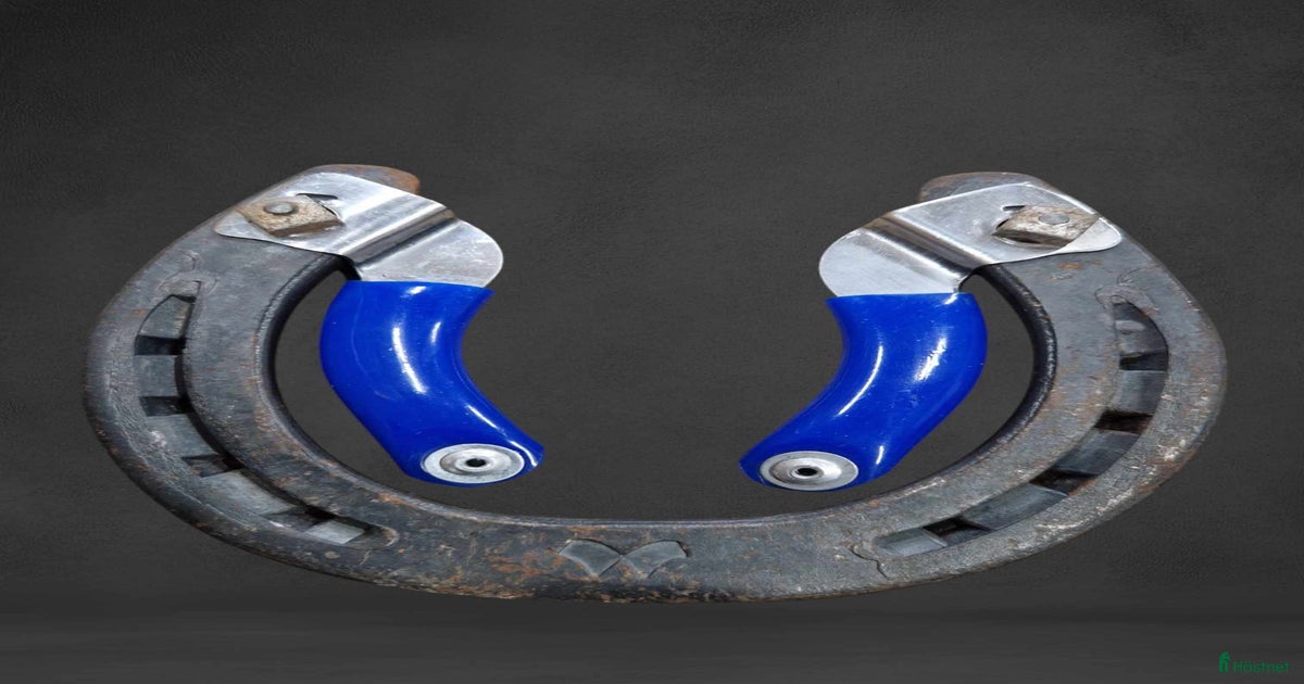 Snösulor åter i lager snowfeathers till salu i Vassmolösa | Hästnet