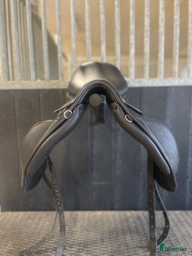 Renaissance F2 TKD till salu i Hökerum | Hästnet