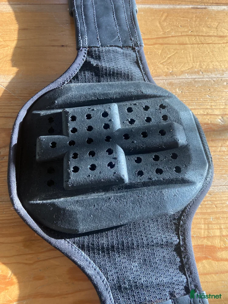 65cm ELT sadelgjord till salu i Veddige | Hästnet