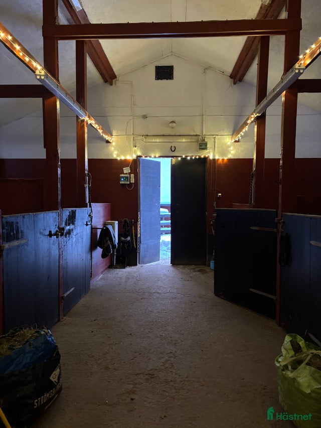 Ledig stallplats på Kungsgården Sköldnora finnes i Upplands Väsby | Hästnet