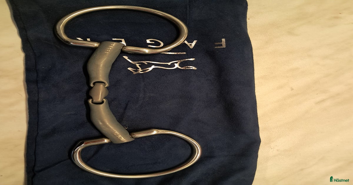 Fager Maria med fast ring till salu i Brålanda | Hästnet