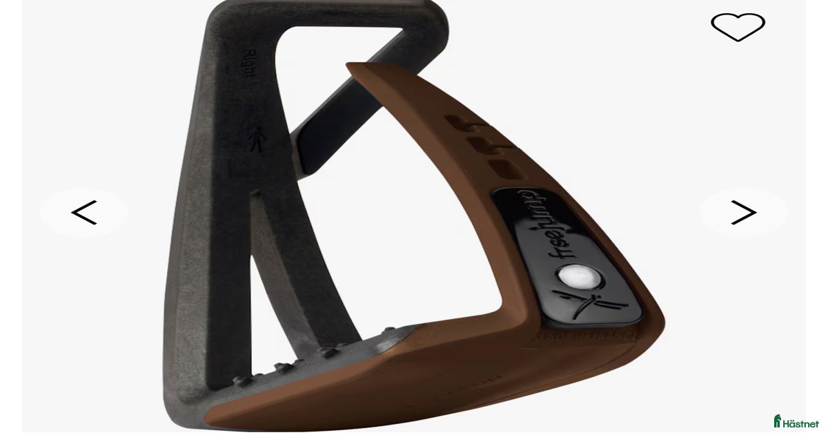 Fina bruna free jumps till salu i Södertälje | Hästnet