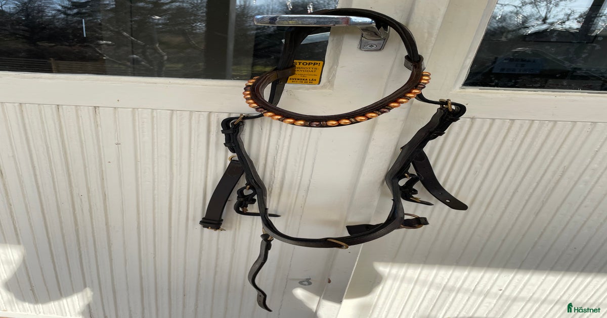 Micklem träns med pannband till salu i Gamleby | Hästnet