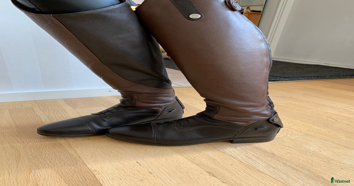 Brun ridstövel Horselife by Källquist stl 40 till salu i Helsingborg ...