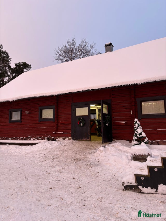 Ledig stallplats på Kungsgården Sköldnora finnes i Upplands Väsby | Hästnet