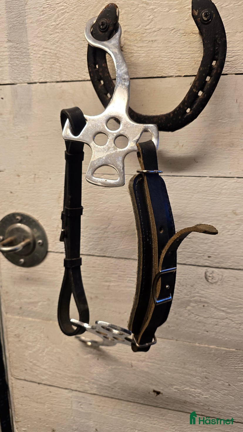 2st hackamore. Frakt ingår till salu i | Hästnet