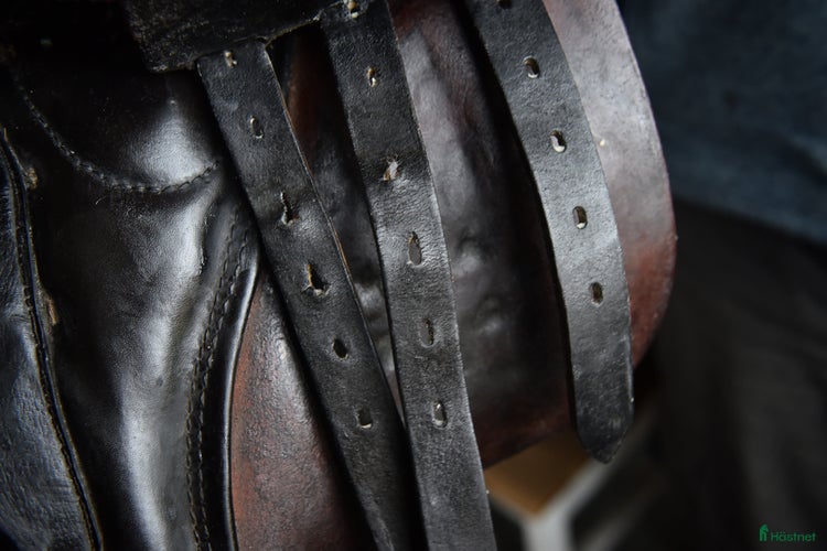 Stübben Rex 16 tum till salu i Varberg | Hästnet