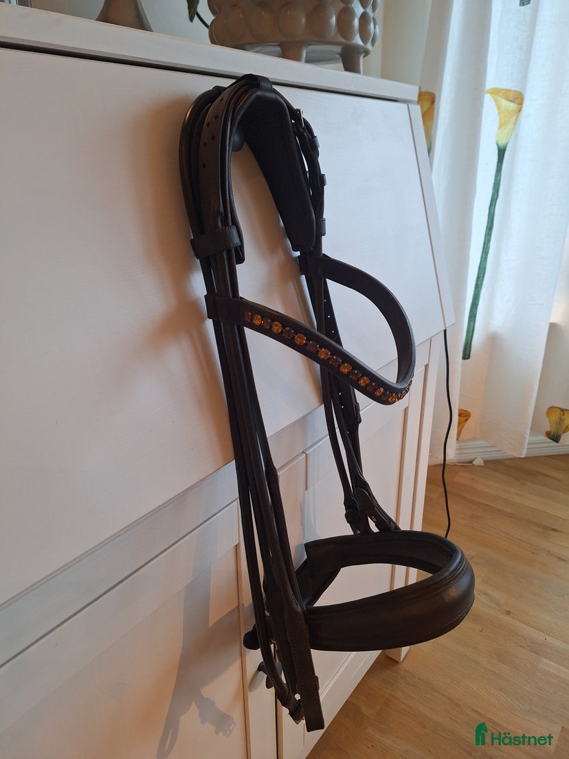 Rundsytt kandar mörkbrunt till salu i Nolvik | Hästnet