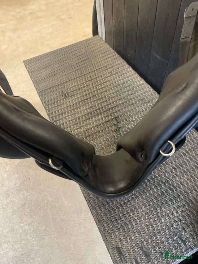 Renaissance F2 TKD till salu i Hökerum | Hästnet