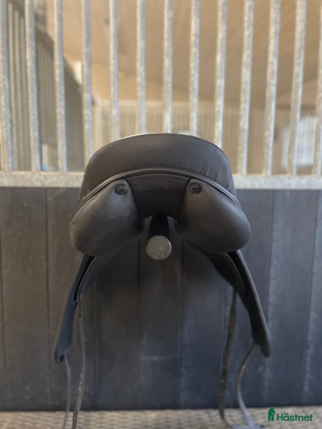 Renaissance F2 TKD till salu i Hökerum | Hästnet