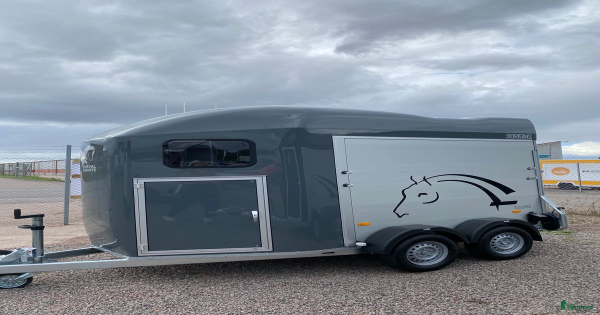 Demovagn - Cheval till salu i Kalmar | Hästnet