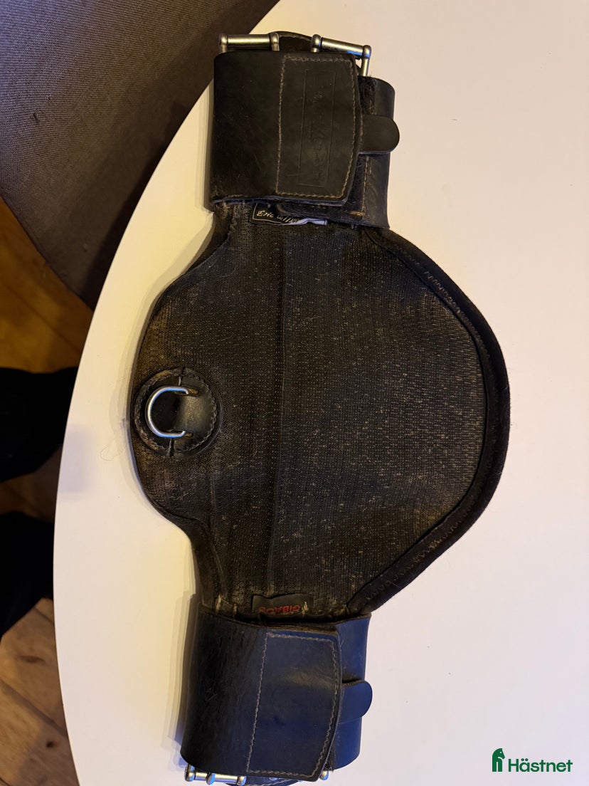 Elt sadelgjord 40 till salu i Torestorp | Hästnet