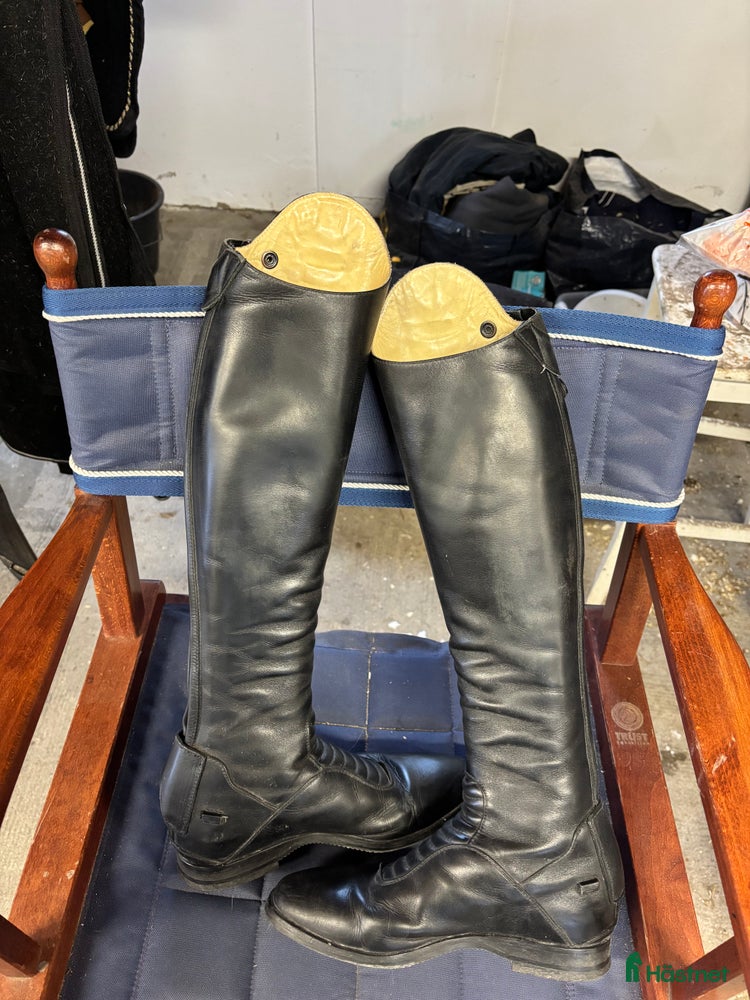 Tucci harley till salu i Enköping | Hästnet